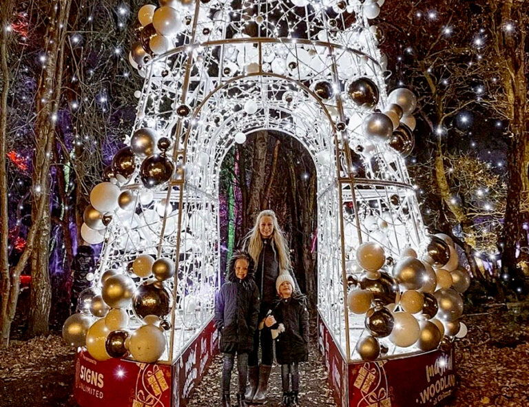 Commercial Christmas Lighting & Commercial Christmas Decorations